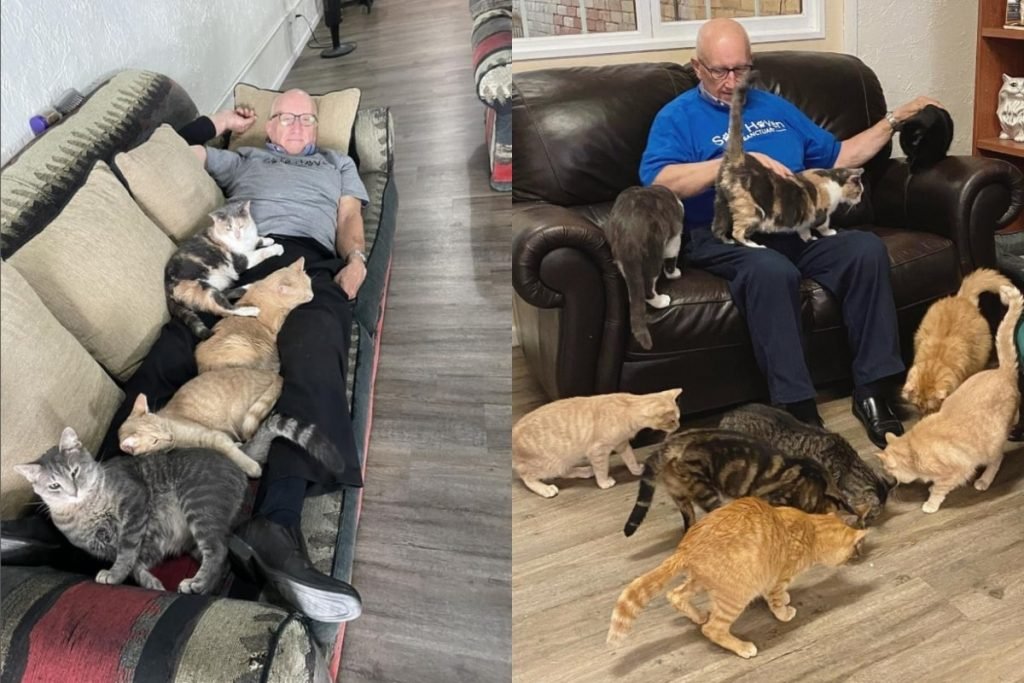 The cat grandpa who volunteers to sleep with the cats | We Love Catz
