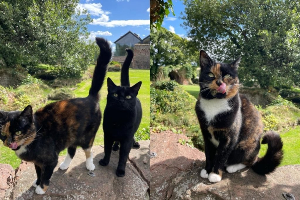 Meet the masterminds behind the Scottish distillery | We Love Catz