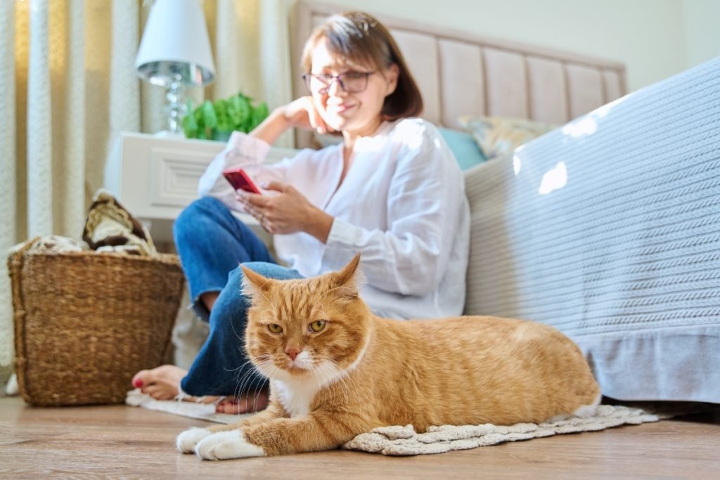 3 reasons why a cat is aloof | We Love Catz