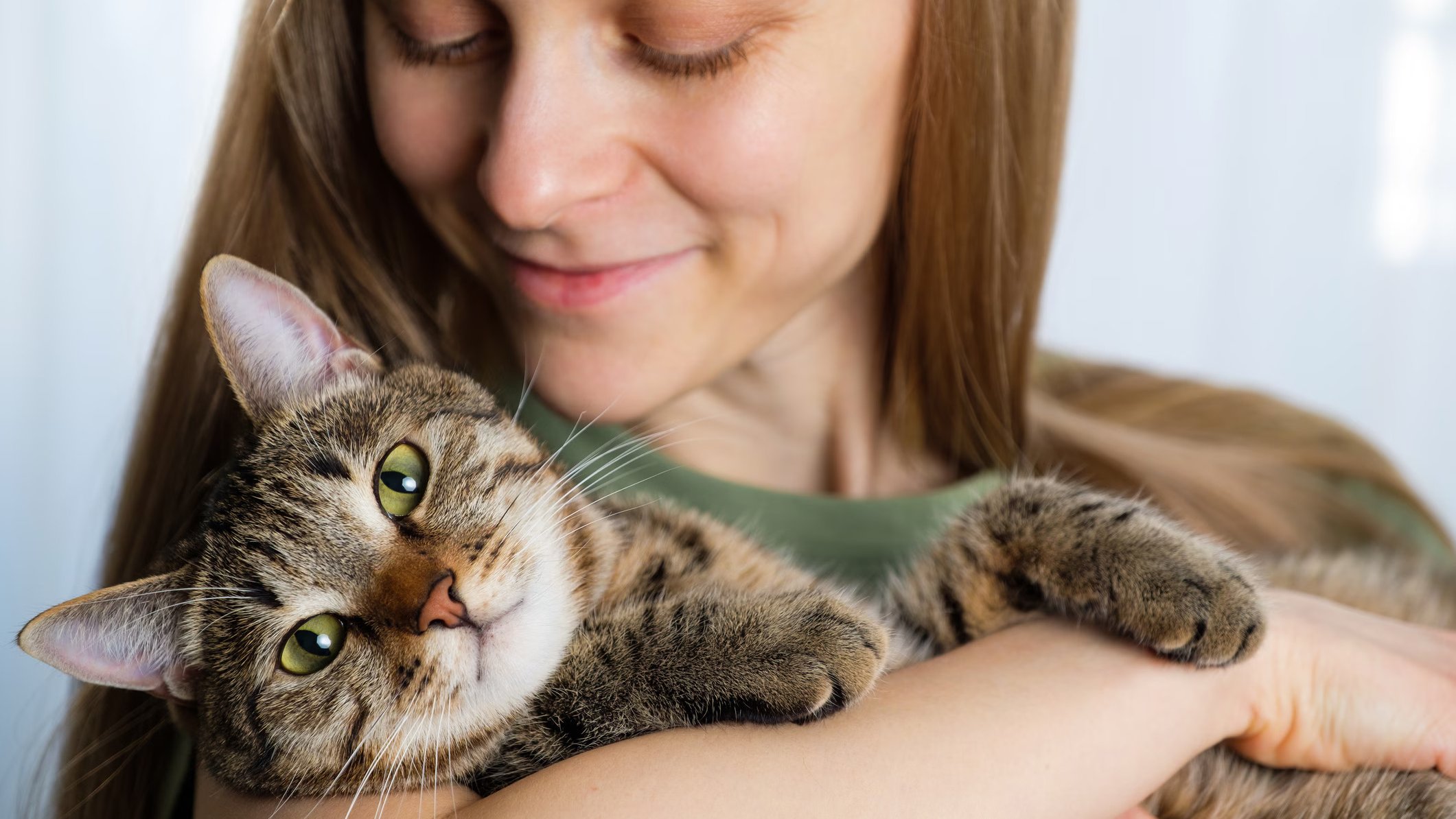 What Is It Like When Our Cat Grows Old? – How Our Felines Change Over ...