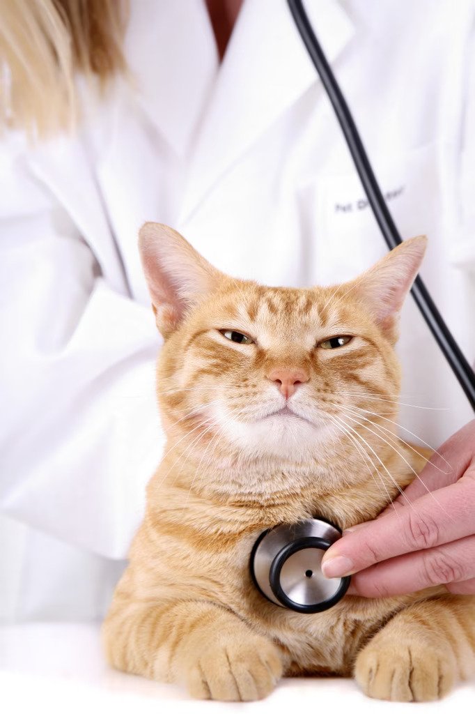 Major Breakthrough in Cancer Research: Striking Similarities Between ...